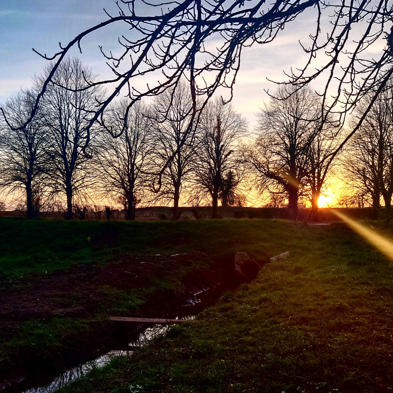 False springs and coping strategies - Matt Pucci